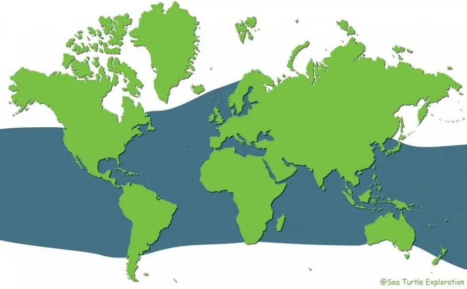 Green Sea Turtle Map