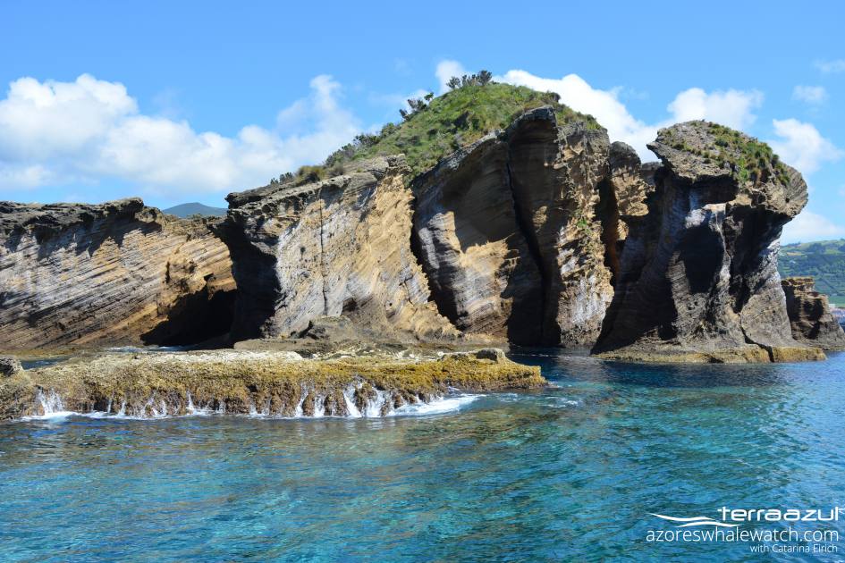 Snorkel in Princess Ring Islet – Azores Whale Watching TERRA AZUL™ | #1 ...